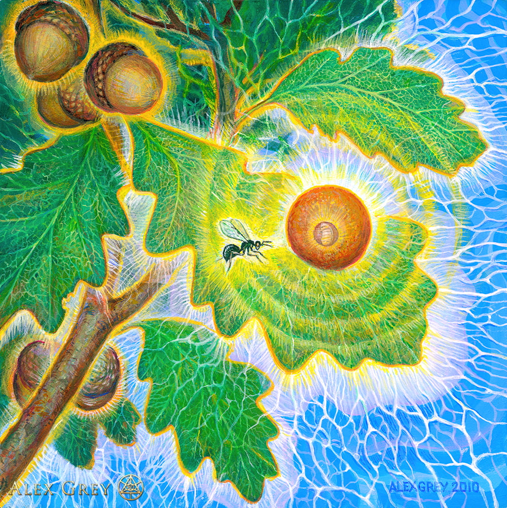 Alex Grey y su arte visionario - ttamayo.com
