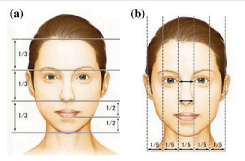 Regla de los tercios vertical tercios y Regla de los quintos ...