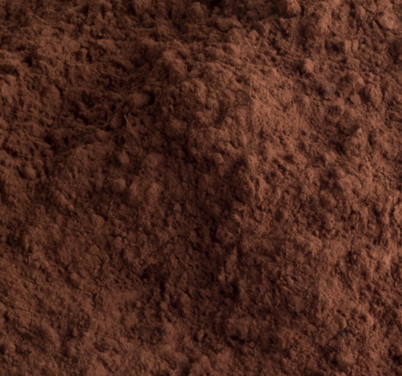 SomM-2 copy - ttamayo.com