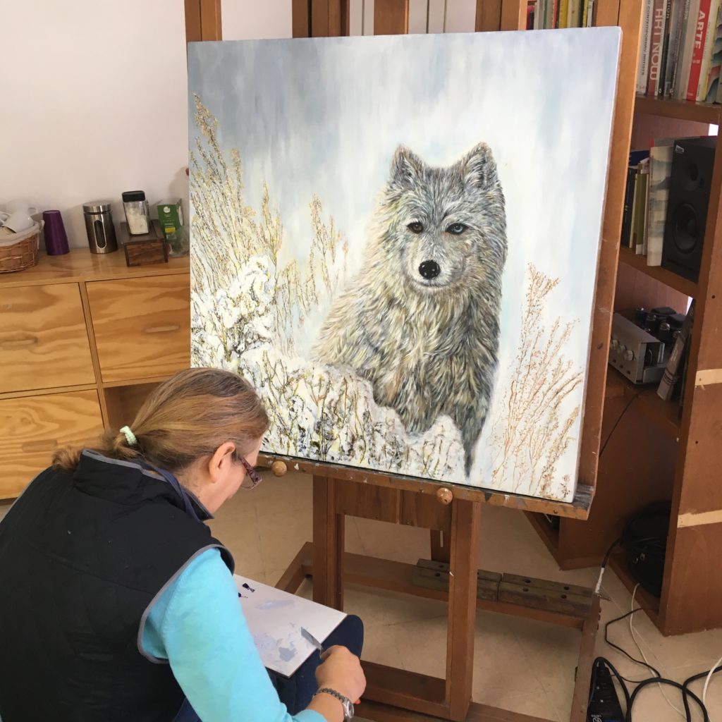 IMG_3549 - ttamayo.com